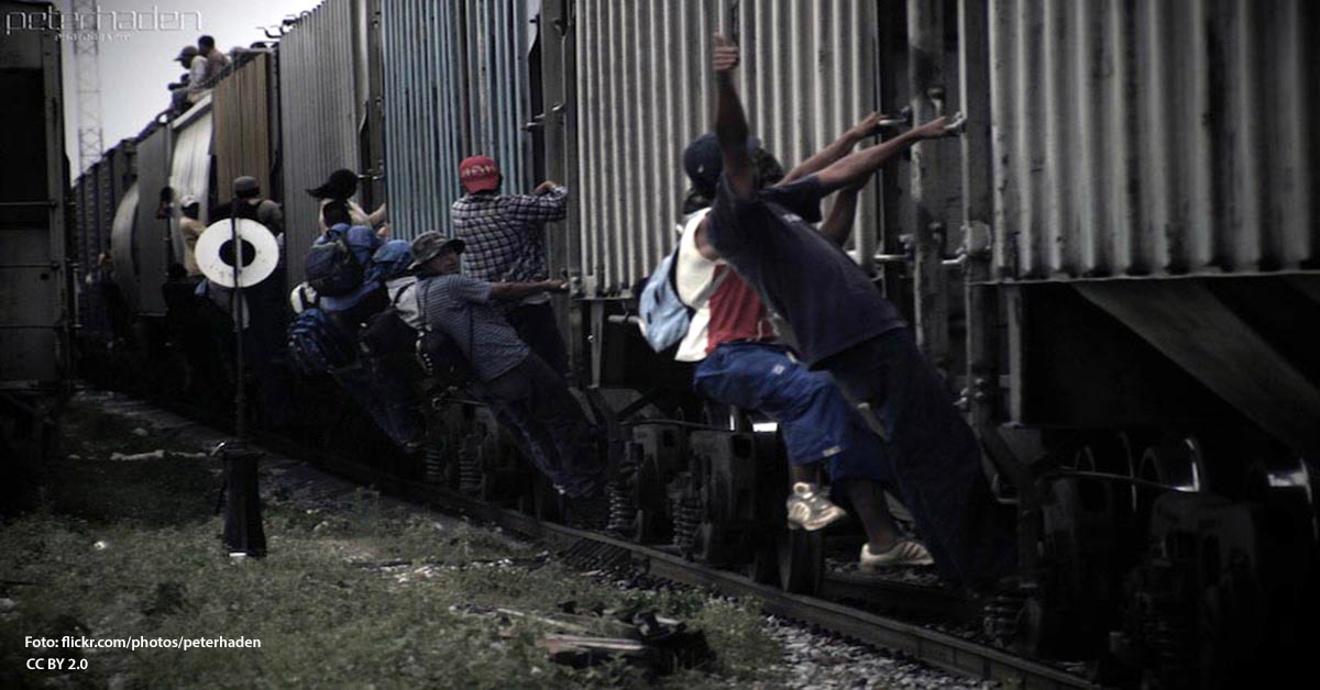 Esquema tipológico de las migraciones y desplazamientos forzados ...